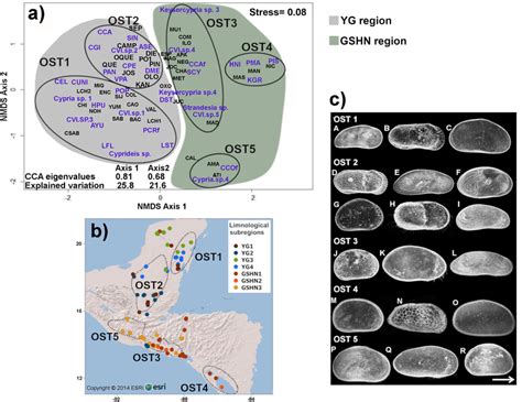 A Non Metric Multidimensional Scaling NMDS Plot Showing Differences Download Scientific