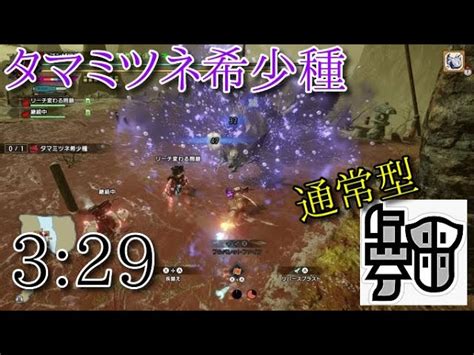 Mhrisesb タマミツネ希少種3分29秒ガンランスソロ（闇討ち×鬼火纏×ko）｜モンハンライズyoutube動画まとめ
