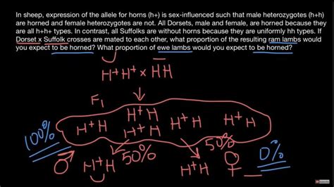 Sex Limited And Sex Influenced Traits In One Sex Nikolays Genetics Lessons Posted On The