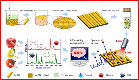 Using Sers Technology And The Self Modelling Mixture Analysis Approach Download Scientific