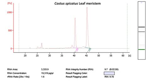 A Method For Extracting High Quality Rna From Diverse Plants For Next Generation Sequencing And