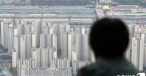 분양·입주권 거래도 꽁꽁 수도권 거래량 작년 대비 70 급감