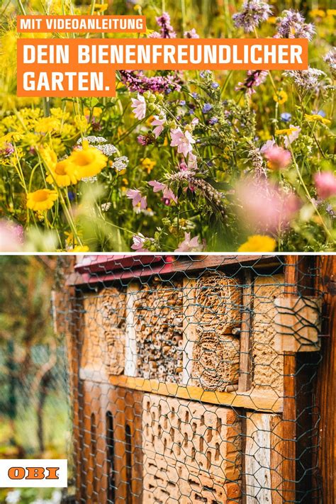 So Gelingt Ein Insekten Und Bienenfreundlicher Garten Artofit