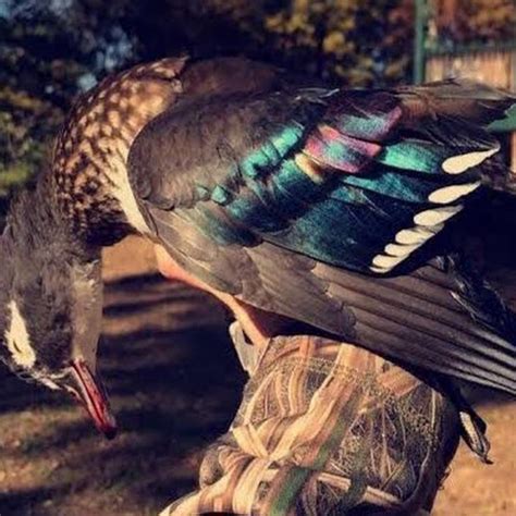 Rachel Morales Youtube