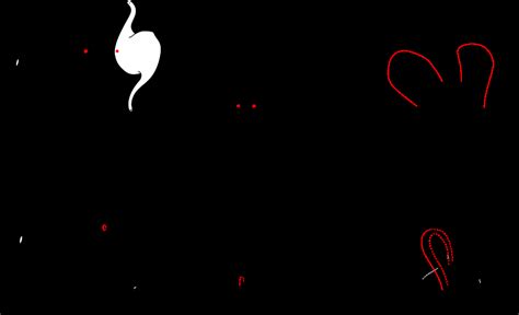 Schematic Description Of The Generalized Connected Sum For From Left Download Scientific