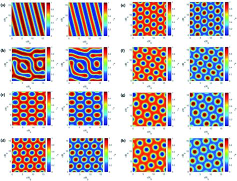 theoretically predicted 2 d morphologies by scft for sf7 2 assuming a