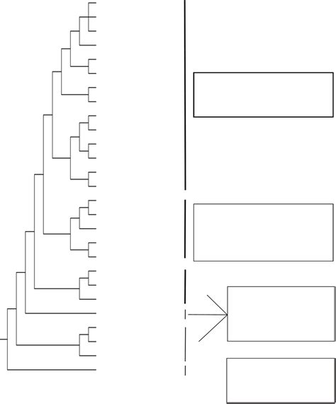 Strict Consensus Of Two Equally Parsimonious Trees Obtained From