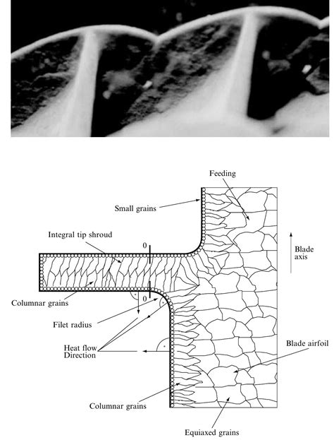 Had An Irregular Columnar Appearance Fig 6 The