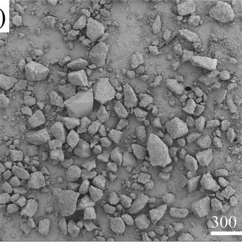 A Scanning Electron Microscopy Sem Micrographs Of The Dendritic Download Scientific Diagram