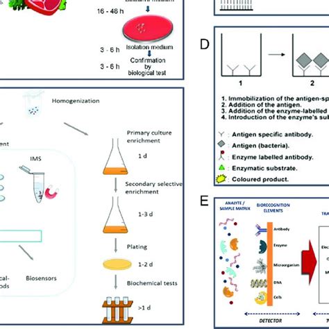 A Conventional Cell Culture And Colony Counting Method For Foodborne Download Scientific