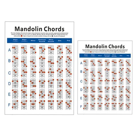 Mandolin Fretboard Fingering Chart Music Chords Poster Coated Paper