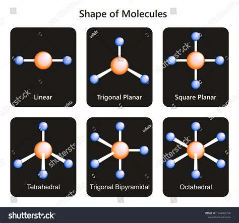 Vektor Stok Shape Molecules Infographic Diagram Including Linear Tanpa Royalti 1144066700