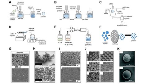 Graphical Representation Of Different Preparation Techniques Of Plga Download Scientific