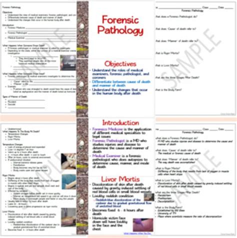 Forensics Pathology Packet Powerpoint Student Notes Worksheet 2