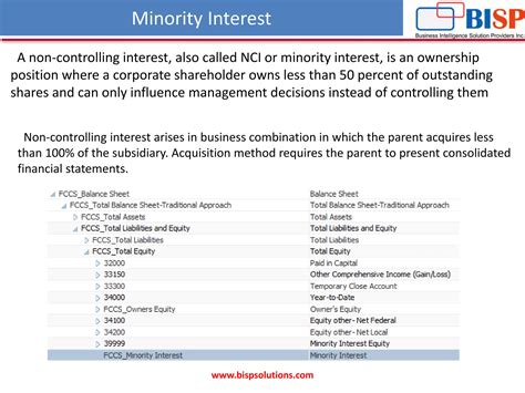 Fccs Basic Accounts Outline And Hierarchy Pptx