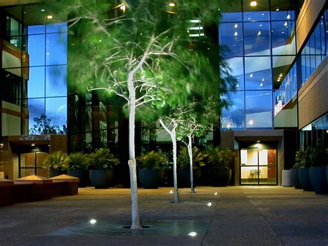 Ironsmith Inc Tree Grate Up Light Installation Landscape Architect