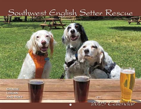 Sw English Setter Rescue 2025 Calendar Yearbox Calendars