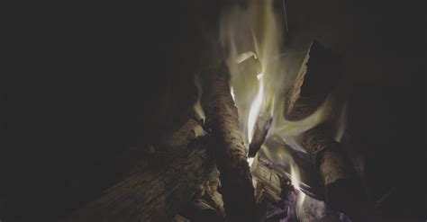 가을 거친 고독 고요한 광야 그림자 꺼질 것 같은 나무 담배를 피우다 따뜻한 러스틱 레저 모험 밤 부드러운 불 불꽃 불씨 사람들 생존 숲