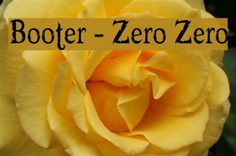 Booter Zero Zero Font FFonts Net