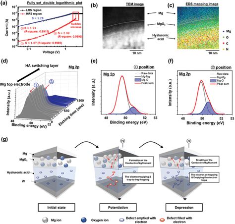 A Linear Fitting Of The Log I Log V Curve B Tem Image And C Eds Download Scientific