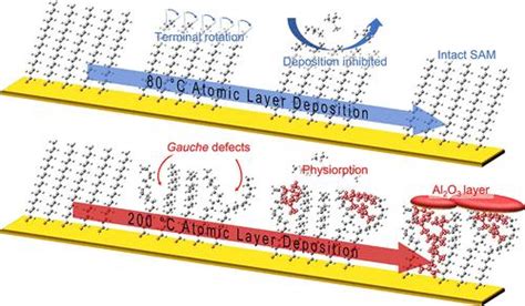 自组装单分子层上选择性 Al2o3 原子层沉积的分子机制 Acs Applied Materials And Interfaces X Mol