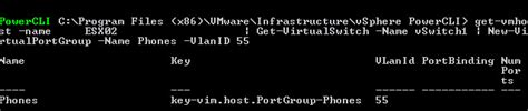 Using Powercli To Create Virtual Machine Port Groups Uk