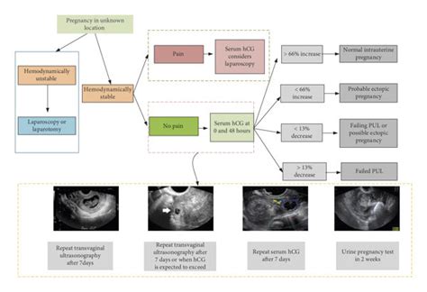 Diagnosis Of Maternal Diseases Download Scientific Diagram