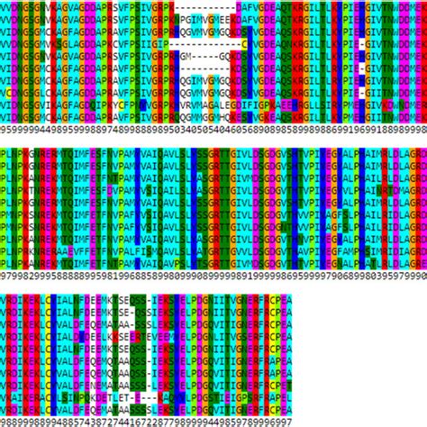 Multiple Sequence Alignment Of The Templates Selected By Dnn For Model Download Scientific