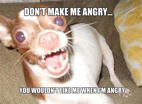65 Angry Meme Meme Central