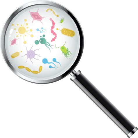 Microorganism Pngs For Free Download