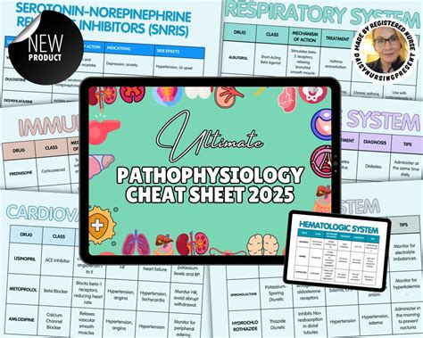 Pathophysiology Cheat Sheet Bundle 2025 Nursing Notes Digital