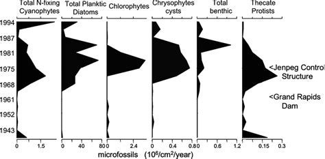 Algal Microfossil Record From The Central North Basin Core Download Scientific Diagram