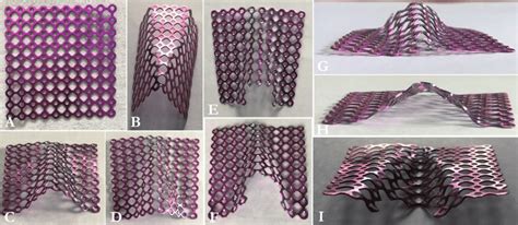 Steps Of Molding Of The Titanium Mesh To The Shape Of Stealth Download Scientific Diagram