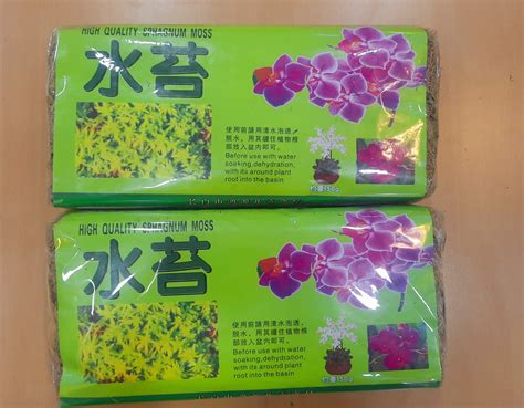 🌹 Төгс төгөлдөр эрхэмсэг байдлын Экстра Ургамал Төв