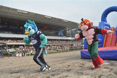 Ya Viene La Carrera De Botargas Más Divertida En El Hipódromo De Las