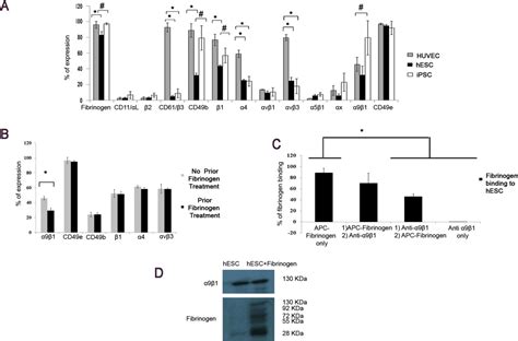 Fibrinogen Induces Runx2 Activity And Osteogenic Development From Human