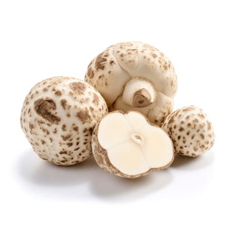 Premium Ai Image White Truffle Mushrooms Isolated On A White Background