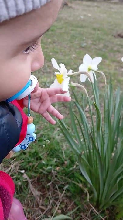 დედას გული ბიჭია💙💙💙💙 Youtube