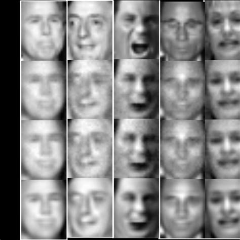 Principal Components Extracted By Reducing The Face Dataset To 100 Download Scientific Diagram