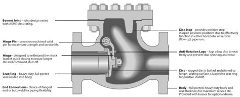 How To Test Sanitary Check Valves Adamant Live Valves