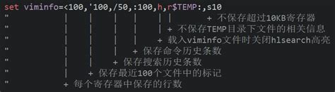 语虚 Vim学习笔记 Viminfo