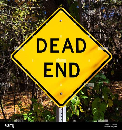 Yellow Traffic Sign For Dead End Rhombic Shape With The Words Dead End In Front Of A Forest