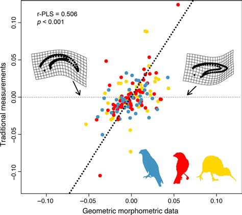 Two‐block Partial Least Squares Analysis Of Geometric Morphometric Data