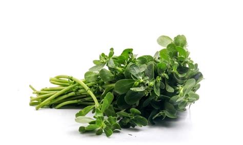 Berro Manojo 100 Gms