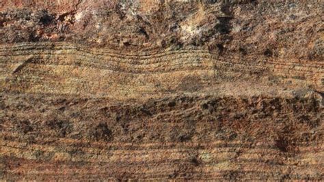 What Is Stratigraphy In Archaeology Trowel And Brush