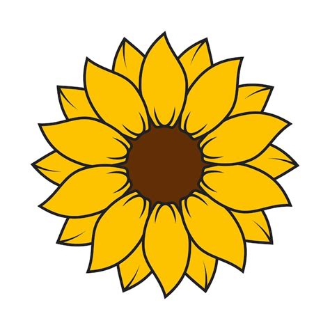 Premium Vector Sunflower Clipart Sunflower Vector Sunflower