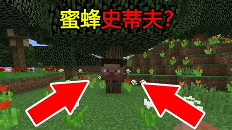 我的世界：mc新手冷知识，这样的mc你见过吗？蜜蜂史蒂夫？腾讯视频