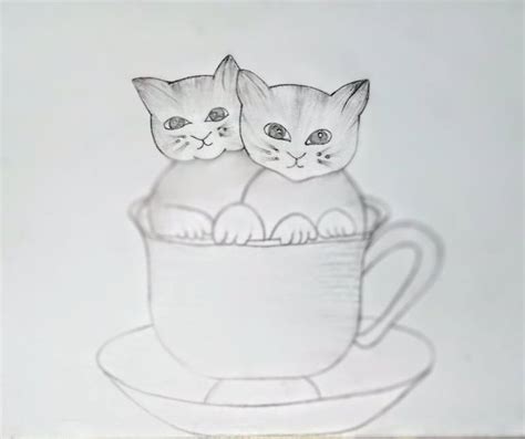 Cats Cuddling Drawing