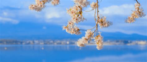 Javascript Js发请求的方法 个人文章 Segmentfault 思否