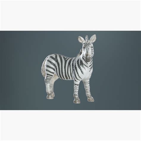 Zebra Toy 3d Model Download Hobbies On